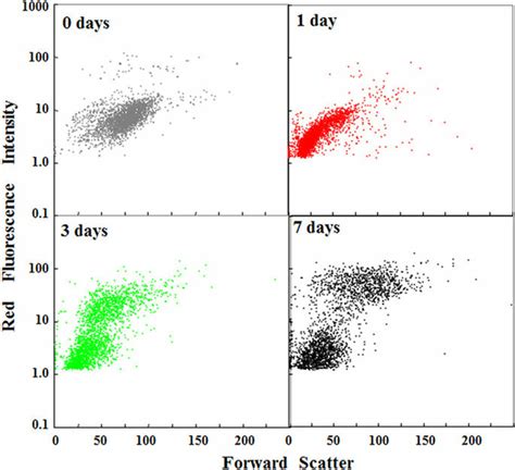 Population Distribution Of Endosymbionts In P Bursaria Using Fcm The