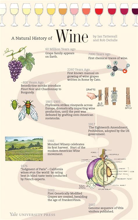 History Of Wine Making At Ann Sexton Blog