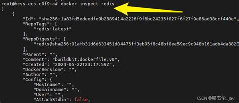 【图文详解】linux和docker常用终端命令docker 终端 Csdn博客