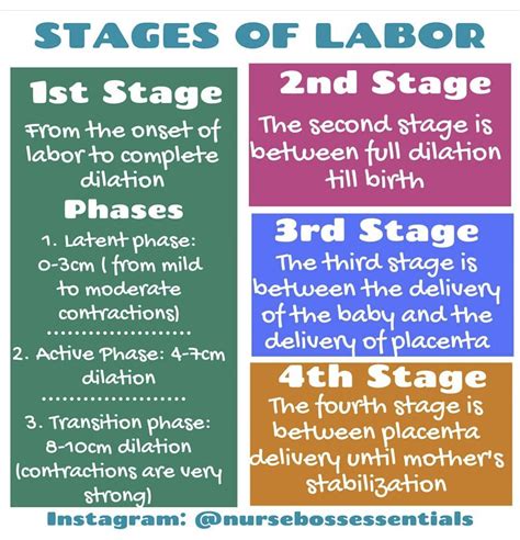Stages Of Labor Information Sheet