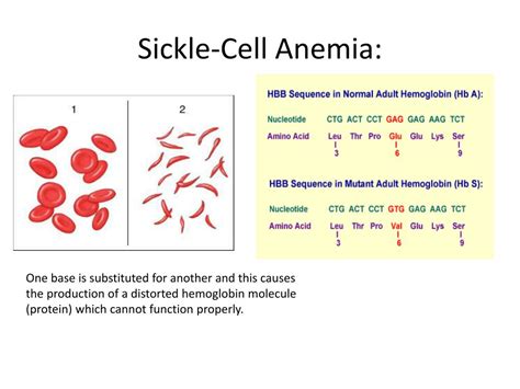 Ppt Mutations Powerpoint Presentation Free Download Id2664465