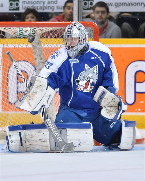 Timpano Is Tops Sudbury Wolves