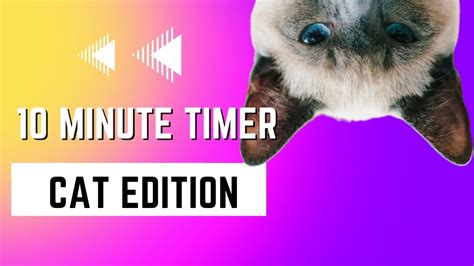 10 Minute Timer Cats Youtube