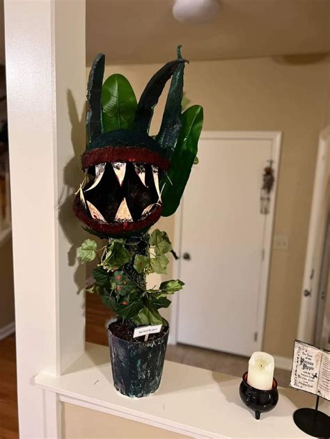 Venus Flytrap Halloween Diy Planter Pots Plants