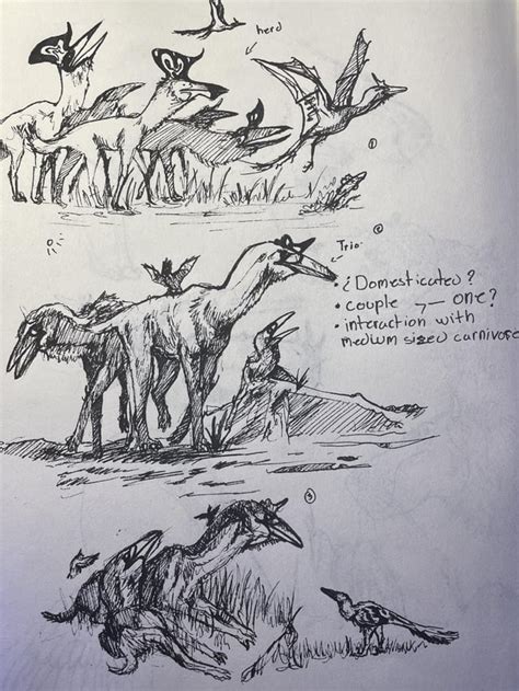 Hey Reddit My Girlfriends Birthday Is Coming Up Soon And She Loves