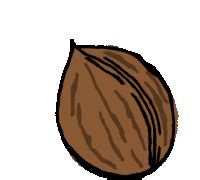 Nuss Nut Sticker Nuss Nut Walnut Discover And Share S