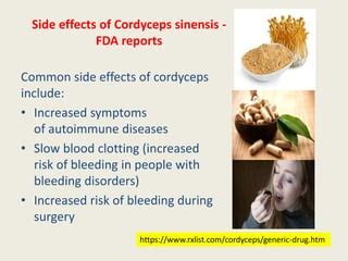 Cordyceps Ppt Pptx