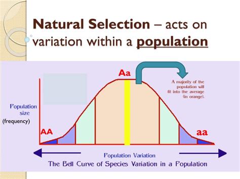 Variation Theory
