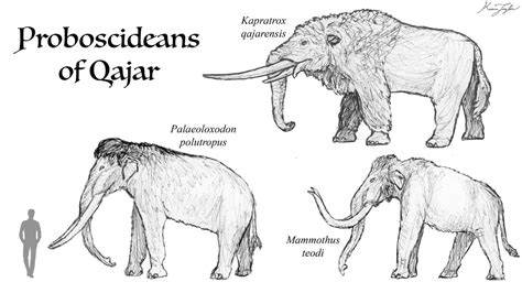 Proboscideans Of Qajar By Illustratedmenagerie On Deviantart
