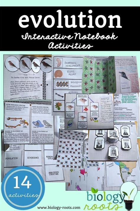 Evolution Interactive Notebook Natural Selection Evidence For