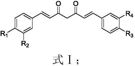 Curcumin Derivatives And Preparing Method And Applications Thereof