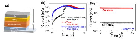 The Role Of Polymers In Halide Perovskite Resistive Switching Devices