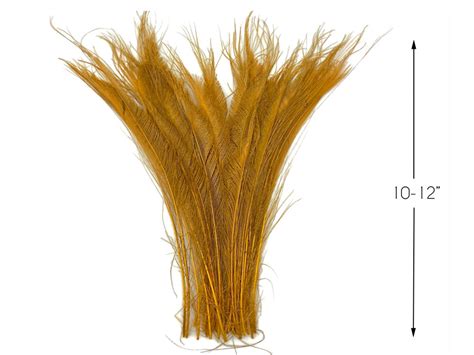 Peacock Sword Feathers 50 Pieces Bleached Moonlight Feather