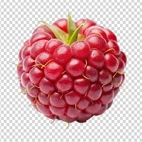 Premium Psd A Red Raspberry With Green Leaves And Stems On