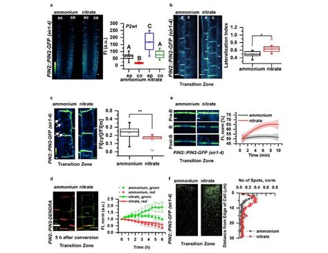 Pin2 Protein Abundance Polarity And Vacuolar Trafficking In Roots On