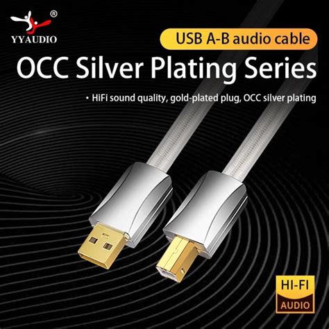 Yyaudio Hifi Usb Cable High Quality Type A To Type B Hifi Data Cable 6n Occ Type A B Dac Data