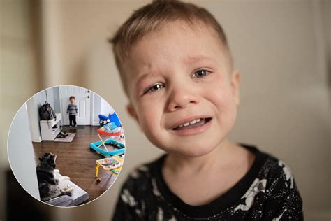 Psi Bohater Domu Zobacz Wideo Jak Pies Uspokaja Płaczące Dziecko I