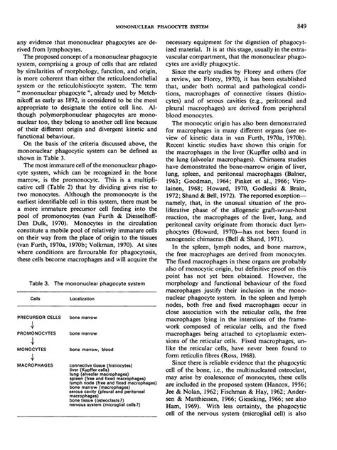 The Mononuclear Phagocyte System A New Classification Of Macrophages