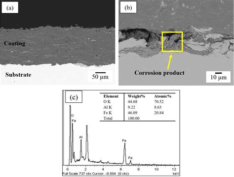 Sem Image Of Cross Sectional Area Of Coating A Before Immersion B