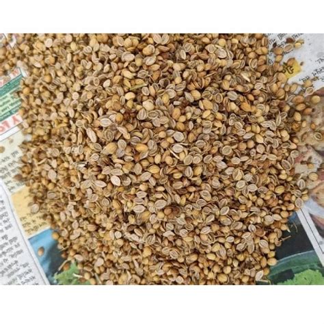 Dried Brown Coriander Split Seeds At Rs 75 Kg In Gondal Id 2852449901933