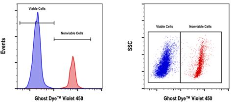 Why Use Viability Dyes In Flow Cytometry Experiments