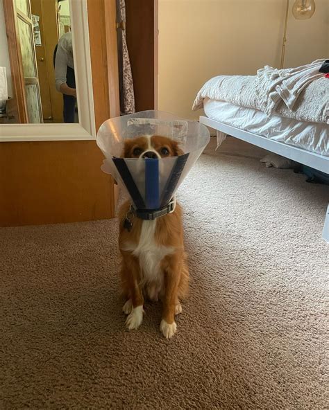 Ellen Melon Sex And Relationship Coach