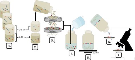 Sediment Processing 1 Sediment Sampling With Corer 2 Separation