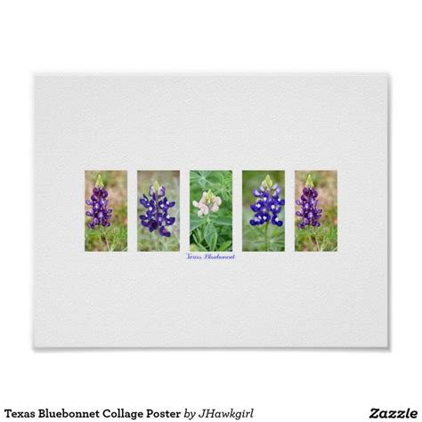 Texas Bluebonnet Collage Poster Bluebonnet Texas Printable