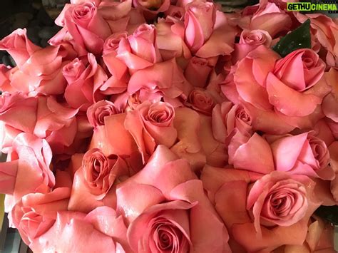 Holland Taylor Instagram But Oh The Abundance Mssarahcatharinepaulson Gethu Cinema