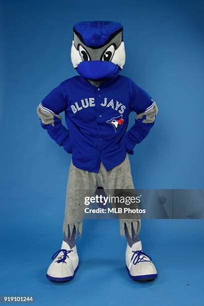 Toronto Blue Jays Mascots Ace Photos And Premium High Res Pictures