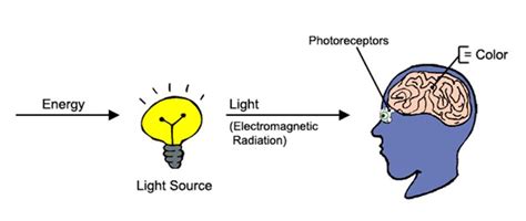 Revision Notes For Science Chapter 16 Light Class 8th Askiitians