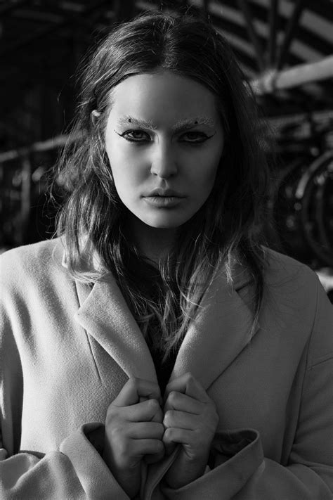 Stine Model