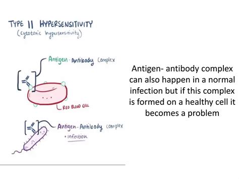 Hypersensitivity Type 2 Pptx