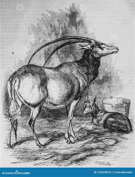 Edouard Charton 1860 Royalty Free Stock Image 318226882