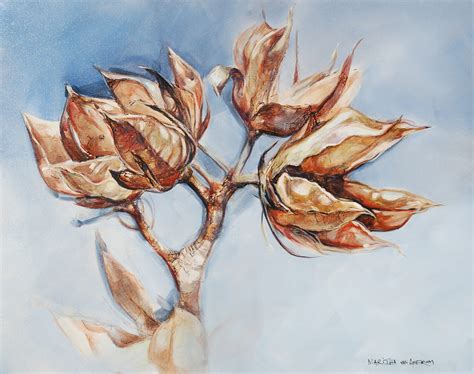 Maritha Van Amerom Botanical Ii The Showroom Art Gallery