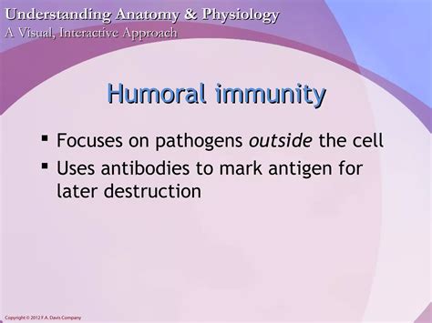 Chapter16 Lympatic And Immune Systems Ppt