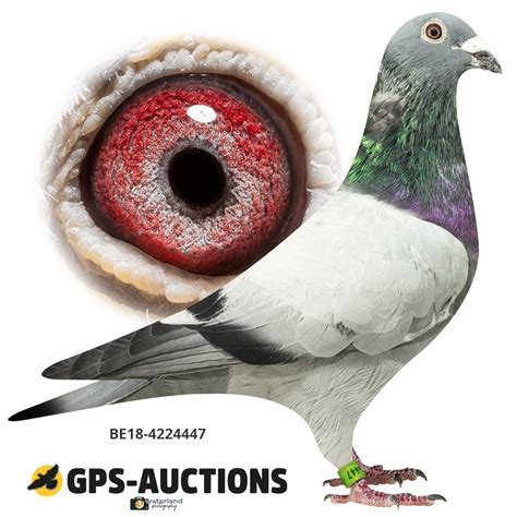 Leo Heremans Special Gps Auctions