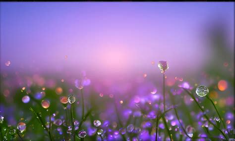 For The Love Of Swdish Summer Nights 6 By Townhousegirl On Deviantart