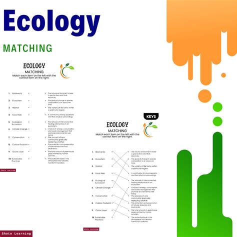 Ecology Essentials Matching Worksheet On Understanding The Basics