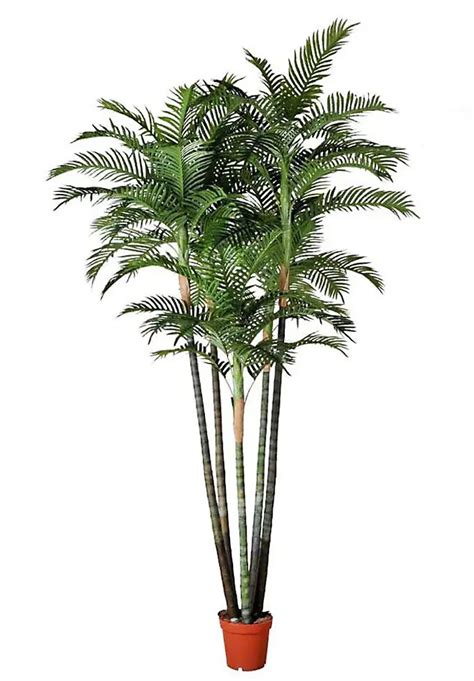 Palmera Calamus Artificial Altura 300 Cm Jardinería Allgrass