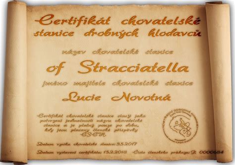 Chs Of Stracciatella