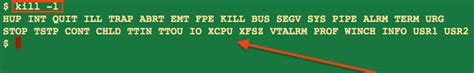 Howto Use Ps Kill Nice And Killall To Manage Processes In Freebsd