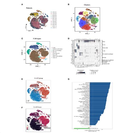 Overview Of The Single Cell Landscape Of Um Tumor Samples Of Gse139829