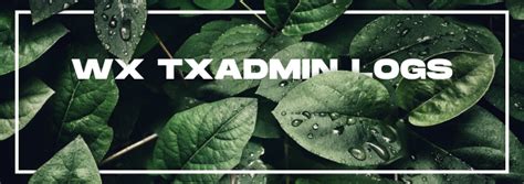 Github Nwvhwxtxadminlogs Not My Idea Simple Tx Admin Logging