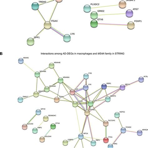 Proteinprotein Interaction Network Analysis A Protein Interactions Download Scientific
