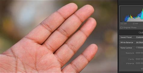 Understanding Histogram How To Use Histogram To Get Correct Exposure