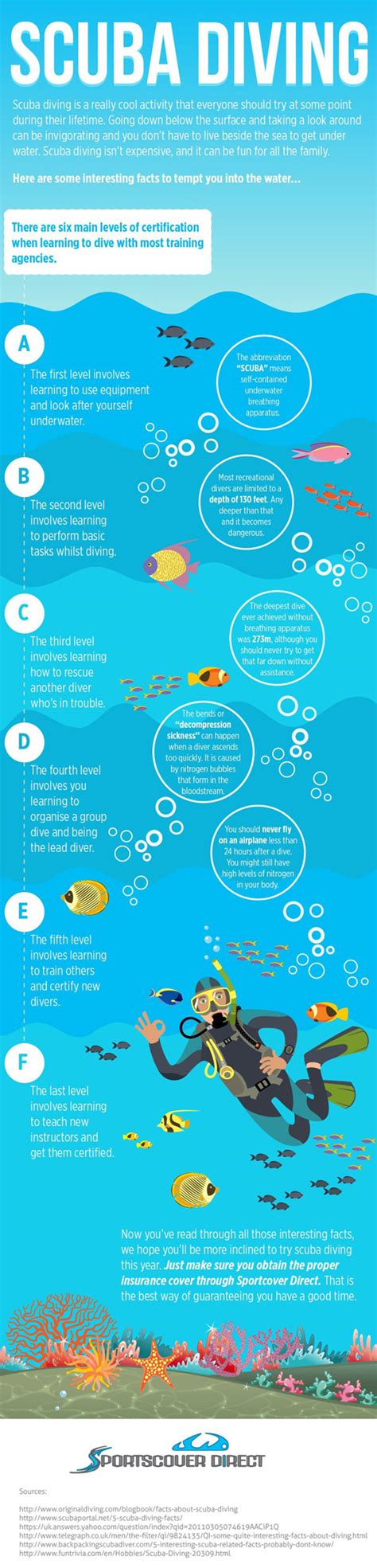 Scuba Diving Certification Guide [infographic] Best Infographics