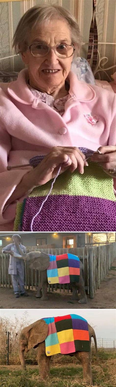 Amazing Grandmas And Grandpas Part 2 Others