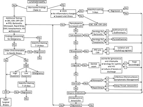 Algorithm For Evaluation And Management Of Lymphadenopathy Download Scientific Diagram