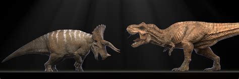 Triceratops Vs T Rex
